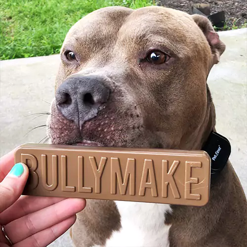 Bullymake Case Study: UGC for Durable Dog Toys & Subscription Growth